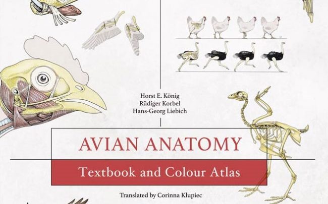 Avian Anatomy Textbook and Colour Atlas 2nd Edition