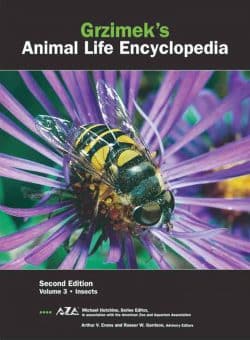 Grzimek's Animal Life Encyclopedia Second Edition Volume 3 Insects PDF
