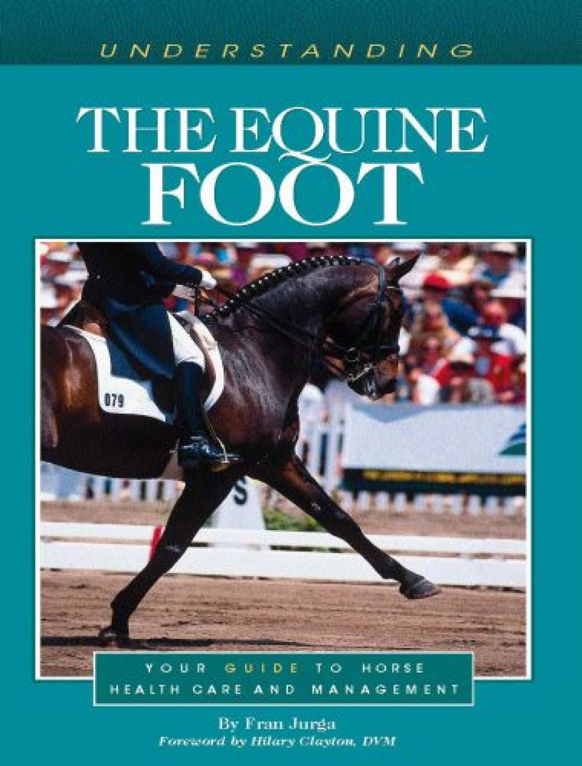 Understanding The Equine Foot