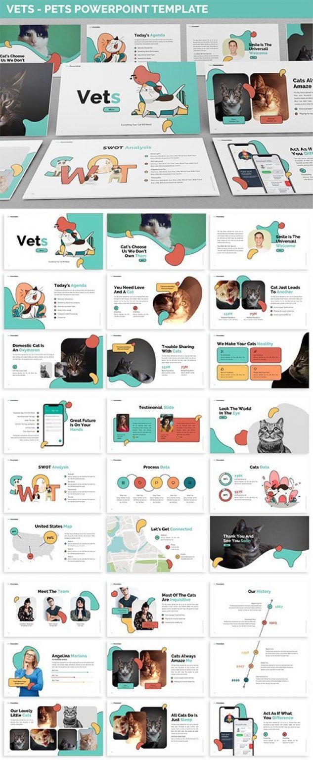 Vets - Pets PowerPoint Template