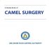 Farm Animal Anesthesia: Cattle, Small Ruminants, Camelids, and Pigs ...