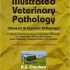 Farm Animal Medicine and Surgery: For Small Animal Veterinarians